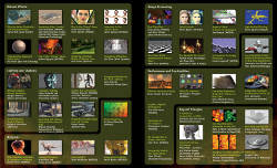 Randima Fernando: Social Impact Management Consultant